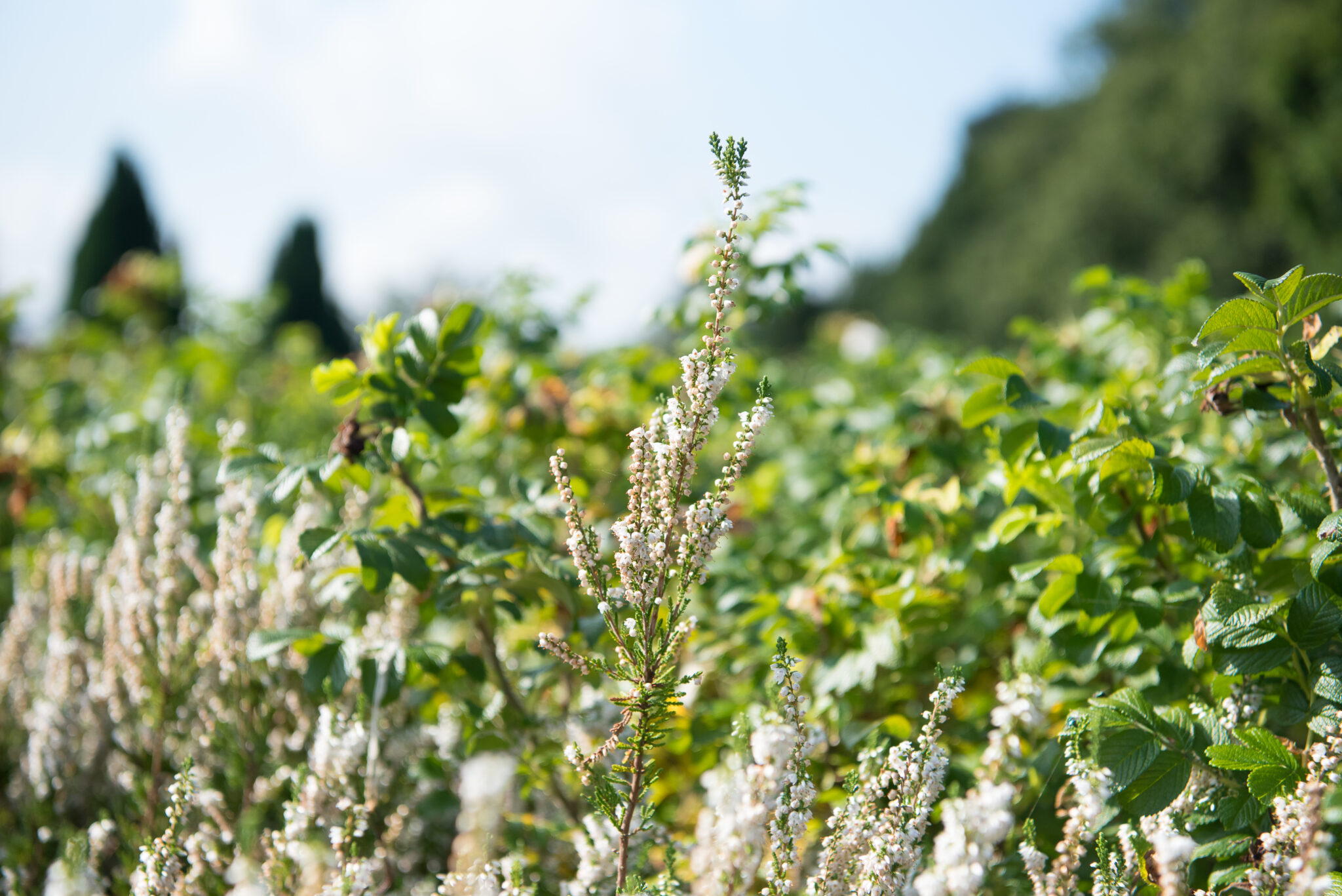 Care After Death : How We Care For Your Loved Ones