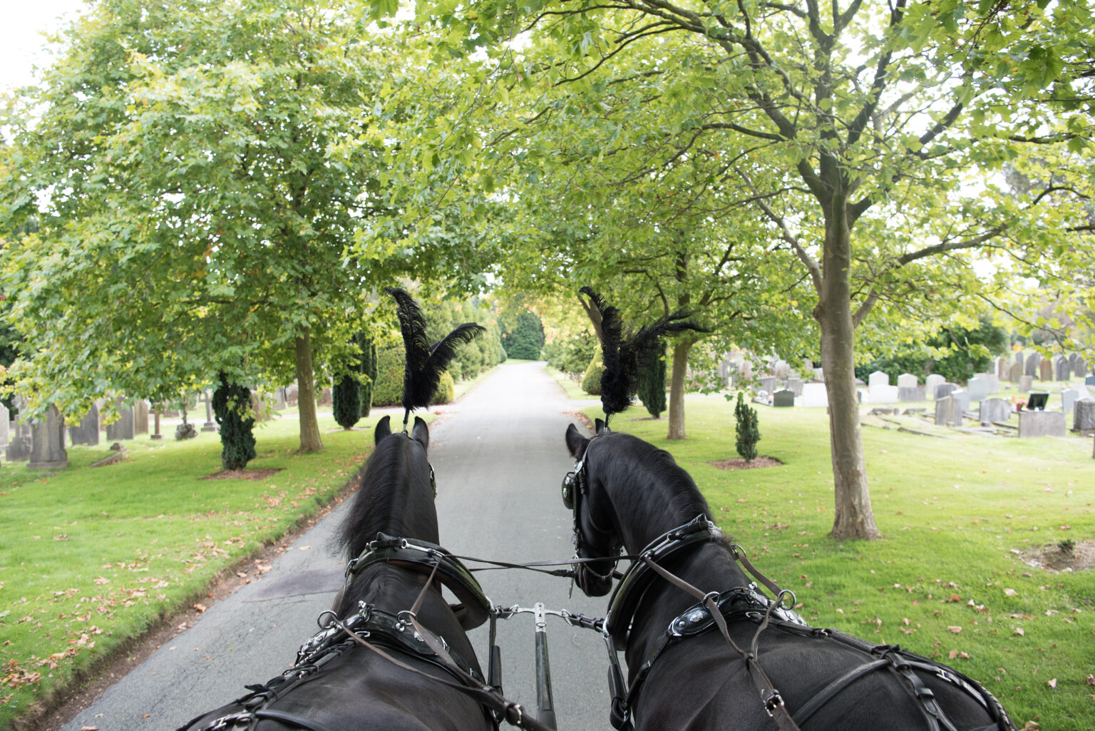 Funeral Etiquette UK: Manners, Dress Code & Procession Guide