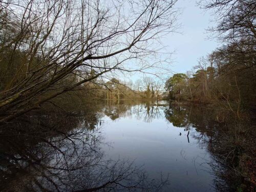 KESTON : Things To Do, Places To Eat & Outdoor Activities